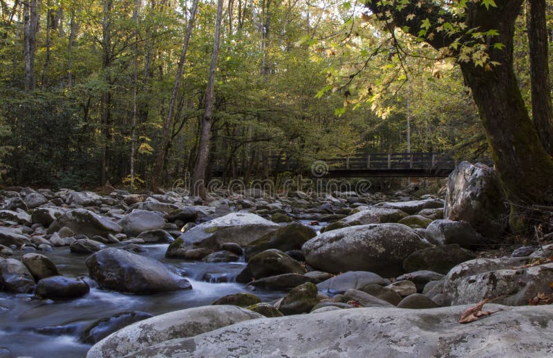 Bridge in Forest with Brook Flowing Over Rocks Stock Photo - Image of ...