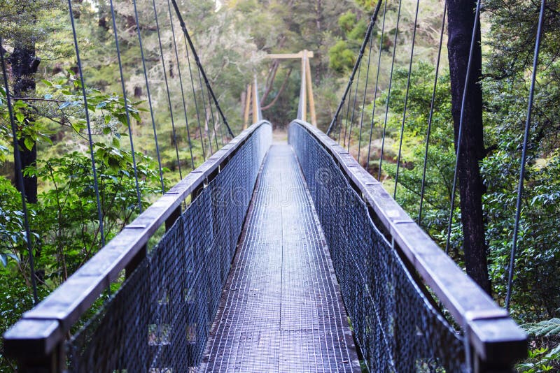 Bridge in forest stock image. Image of house, destination - 188695993