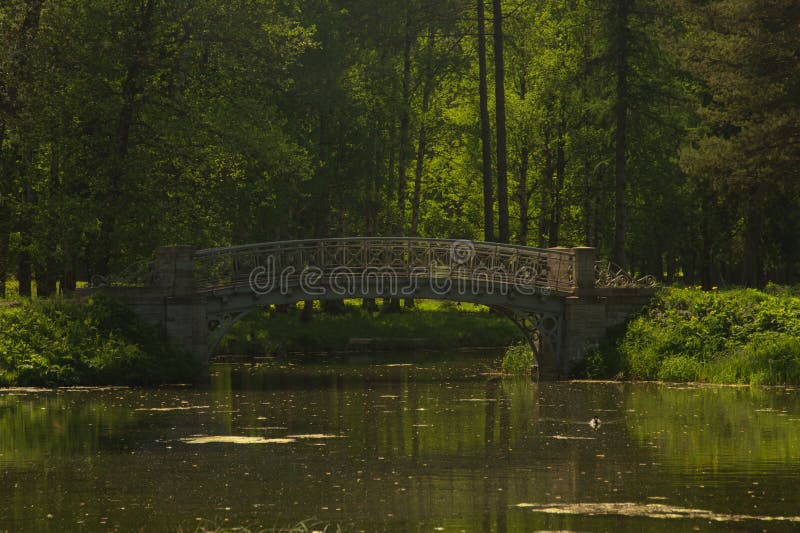 Bridge in the Forest. Nature Landscape with Small River Stock Image ...