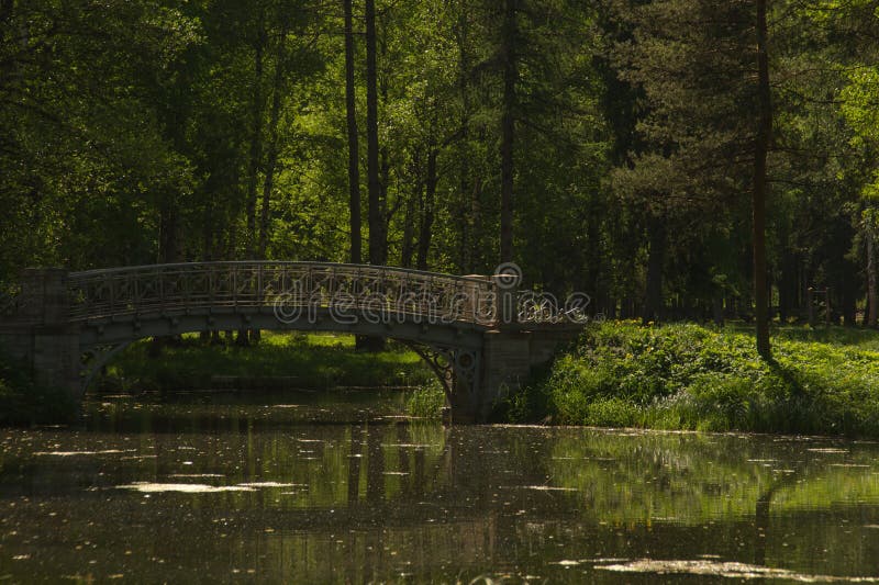 Bridge in the Forest. Nature Landscape with Small River Stock Photo ...