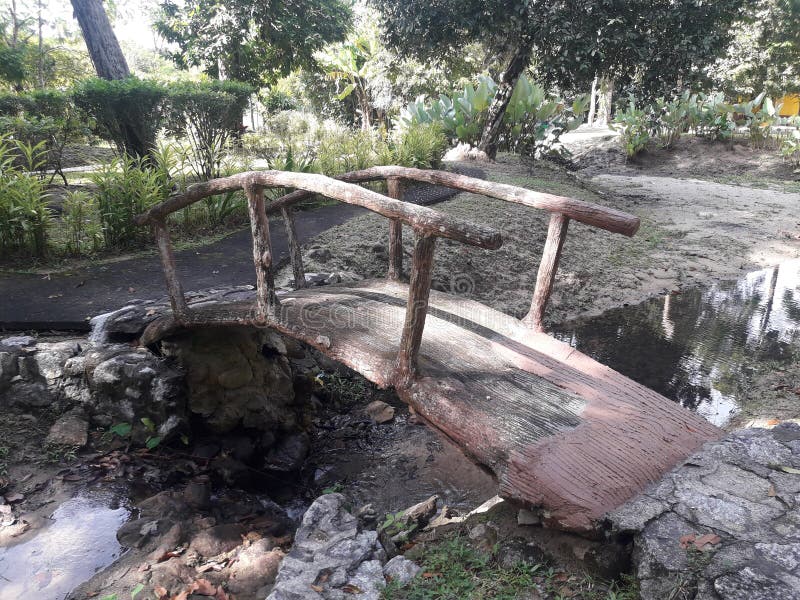 Bridge forest stock image. Image of bridge, love, nature - 126308539