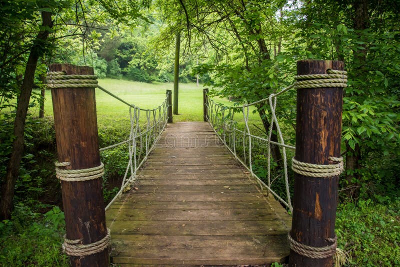 Bridge in the forest stock photo. Image of high, adventure - 93476190
