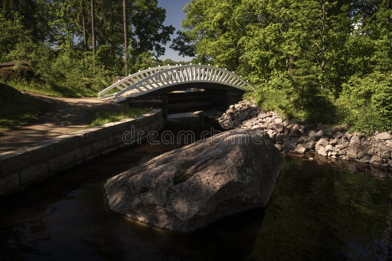 Bridge on the forest river stock image. Image of sunlight - 250843925