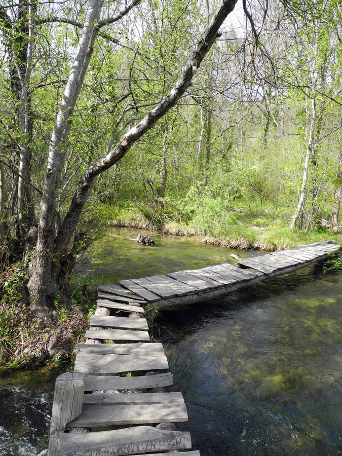 Bridge through the Forest River Stock Image - Image of fast, bridge ...