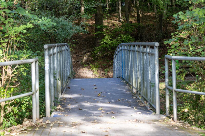 Path in Sun at Nature Reserve Framed by Trees Stock Image - Image of ...