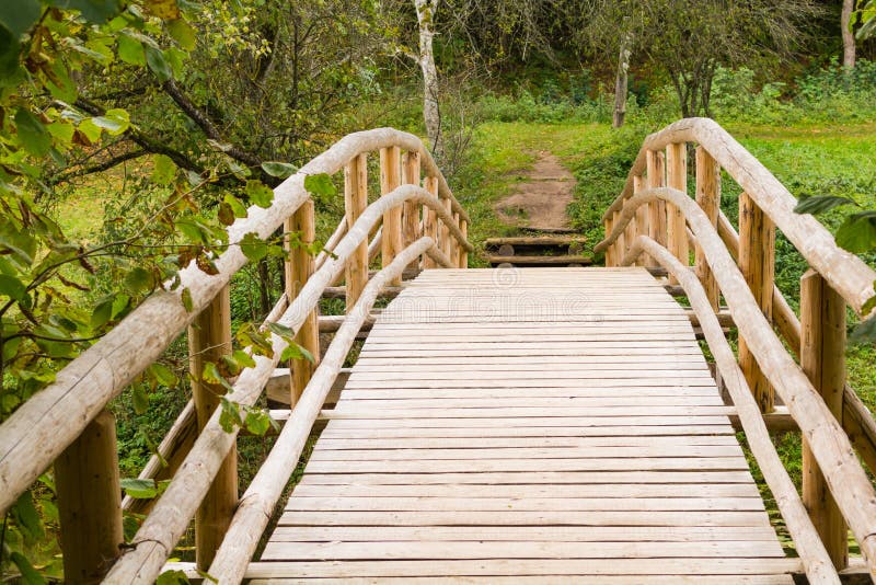 Bridge in the forest stock photo. Image of europe, footpath - 68317534