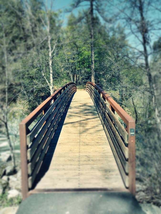 Bridge the gap stock image. Image of leaf, morning, forest - 178469227
