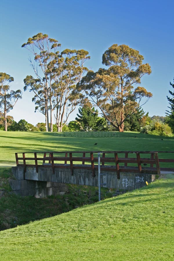 Bridge on a golf course stock photo. Image of ball, caddy - 1617392