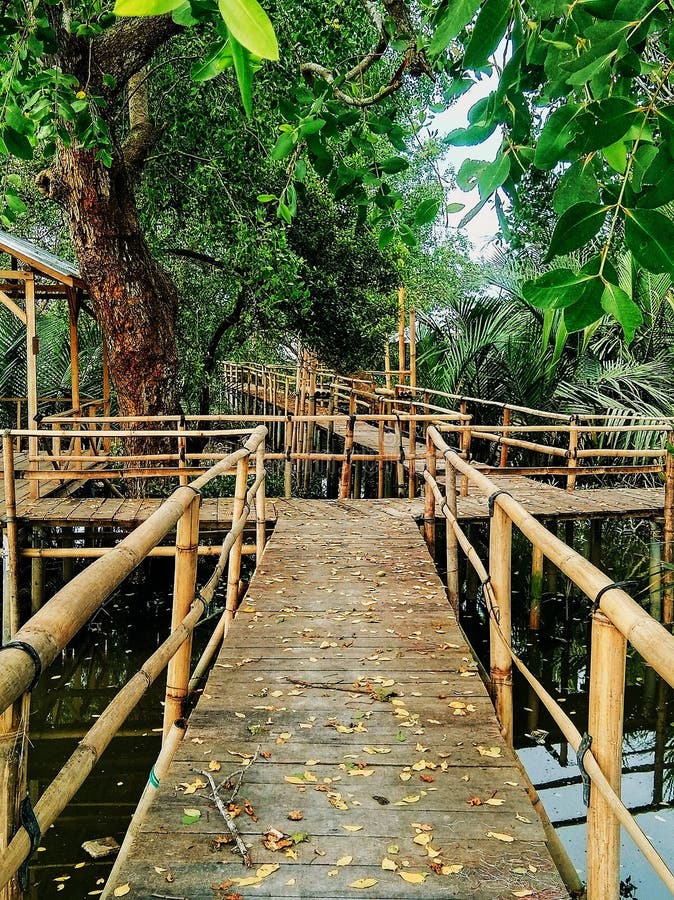 Hiddenplace Stock Photos - Free & Royalty-Free Stock Photos from Dreamstime