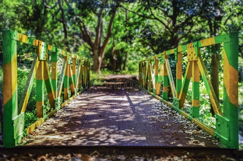 Bridge Green and Yellow between the Viewer and the Nature. Stock Photo ...