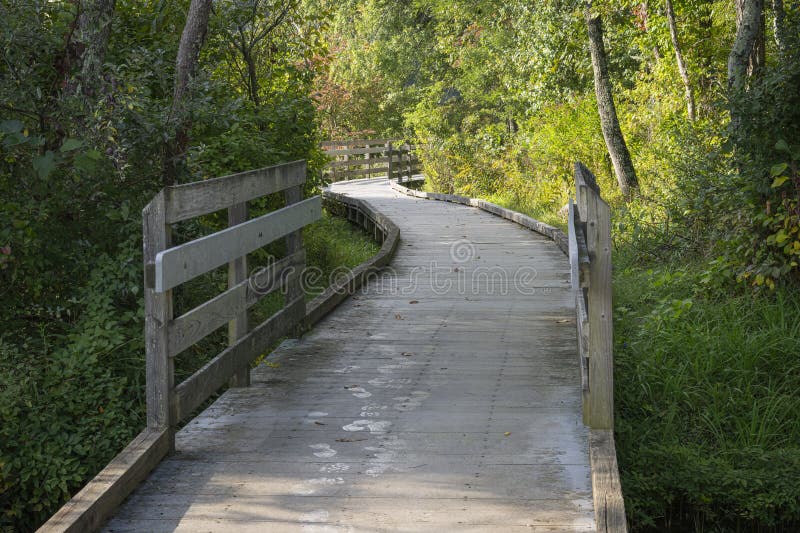 Bridge on Handicapped Accessible Walking Path in the Woods Stock Image ...