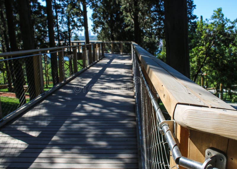 Bridge hanging from trees stock image. Image of hiking - 150678745