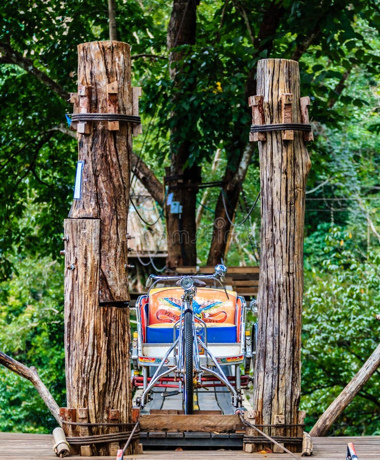 The Bridge on High Tree Look Around Forest Top View Stock Image - Image ...