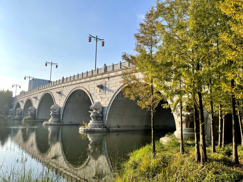 Bridge and its reflection stock photo. Image of tree - 261267328