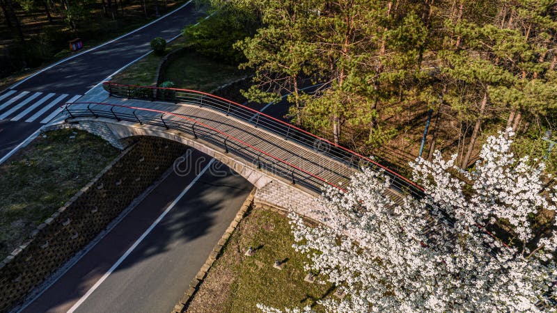 Bridge-Jingyuetan National Forest Park, Changchun, China in Spring ...