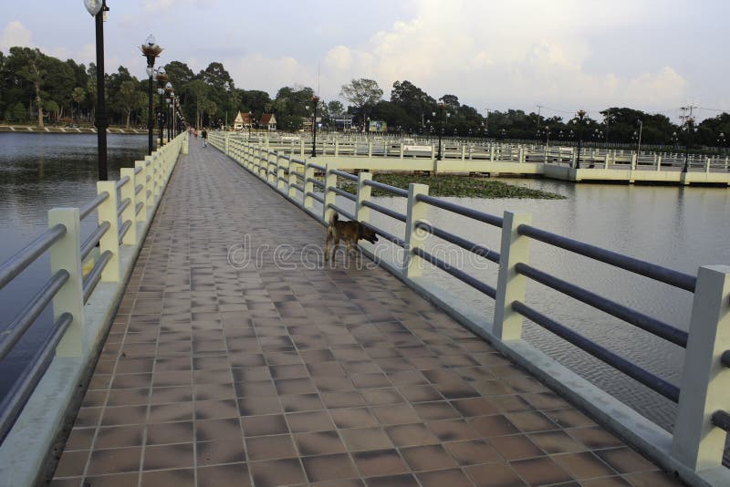Bridge on lagoon stock image. Image of walkway, stockade - 92839903