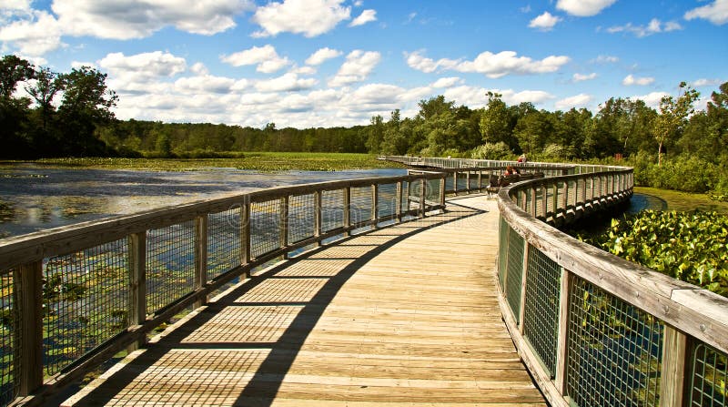 Bridge on the lake stock image. Image of park, walk, bridge - 5940153