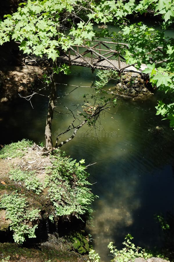 Bridge lake forest stock photo. Image of vegetation, scenic - 3351888