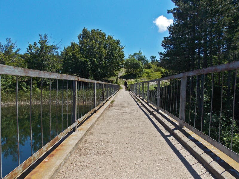 Bridge on a lake wall stock photo. Image of trees, handrail - 45199452