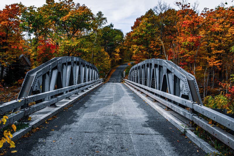 Bridge Leading To the Road through Fall Forest Stock Photo - Image of ...