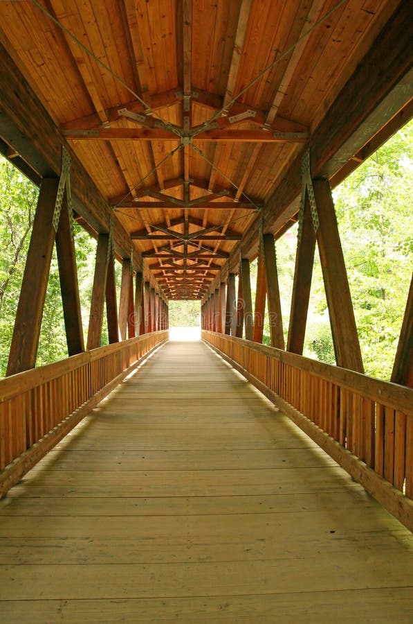Bridge into the Light stock photo. Image of timber, trees - 2670118