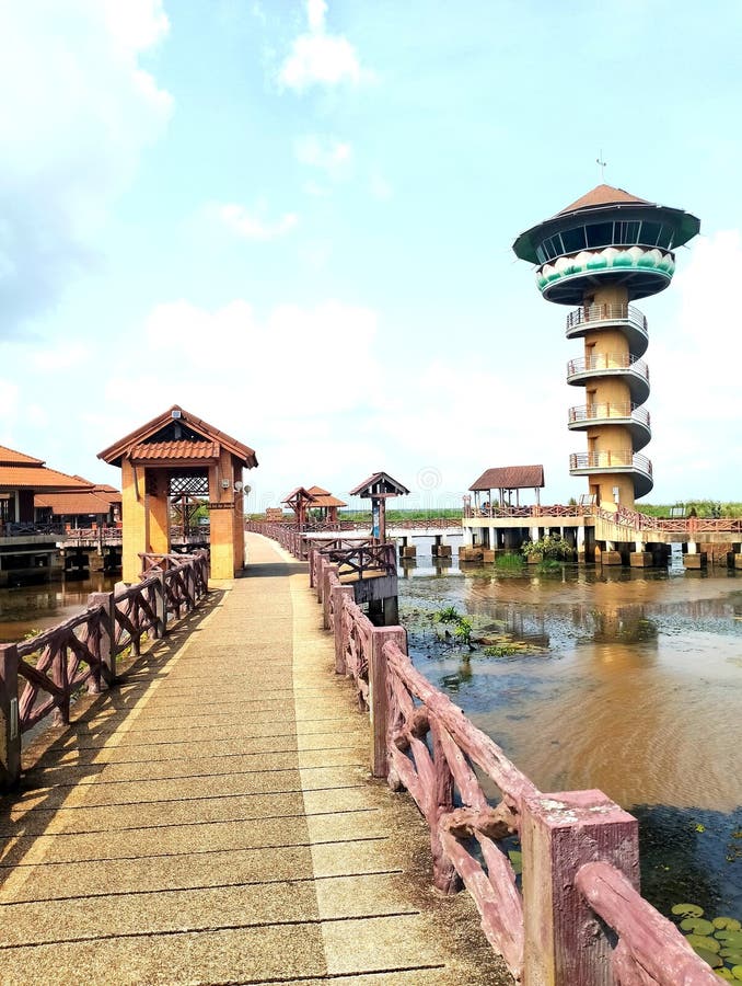 Bridge and Lighthouse Tower in the Water Surface Stock Photo - Image of ...