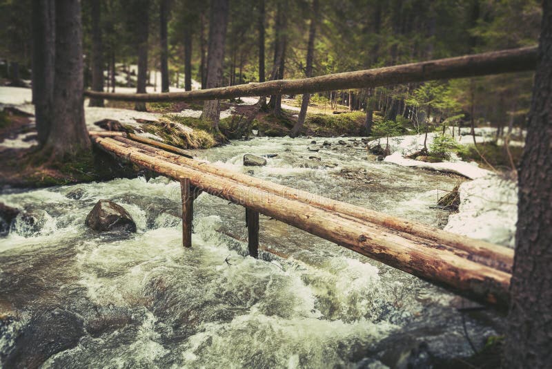 A Bridge of Logs Across a Mountain River Stock Image - Image of native ...