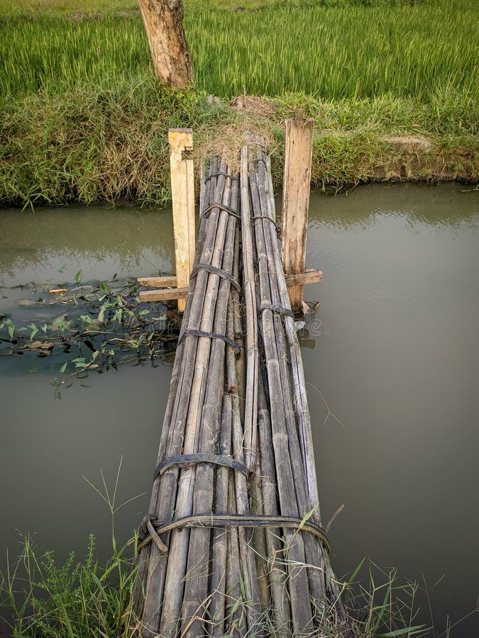Bridge Made of Bamboo on a Small River Stock Image - Image of pond ...