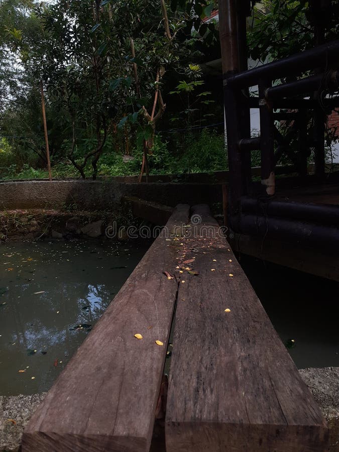 This Bridge is Made of Two Wooden Planks, this Bridge is the Way To ...