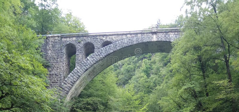 A bridge in nature stock image. Image of river, nature - 206555703