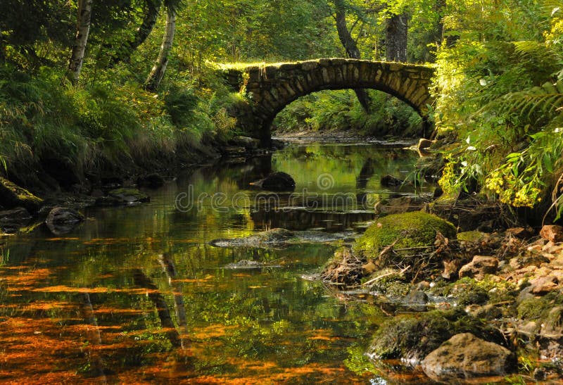 Bridge in the nature stock image. Image of water, impress - 23975991