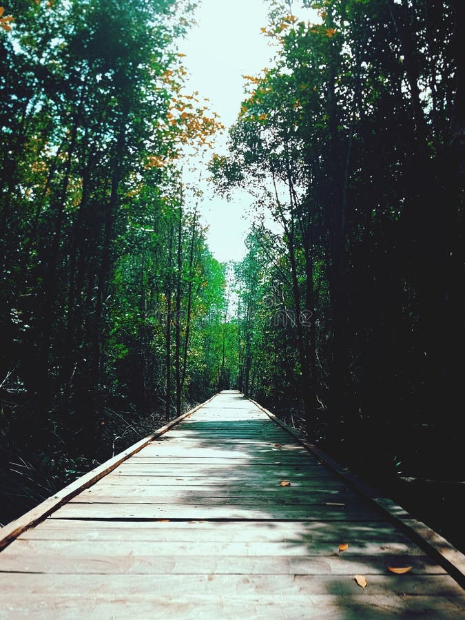 Bridge that never end stock image. Image of never, bridge - 207006435