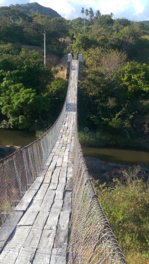 Bridge stock photo. Image of bridge, adventure, oasis - 93657644