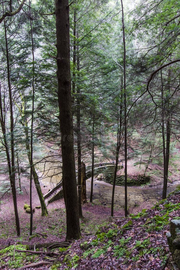 Bridge, Old Man S Cave, Hocking Hills State Park, Ohio Stock Image ...