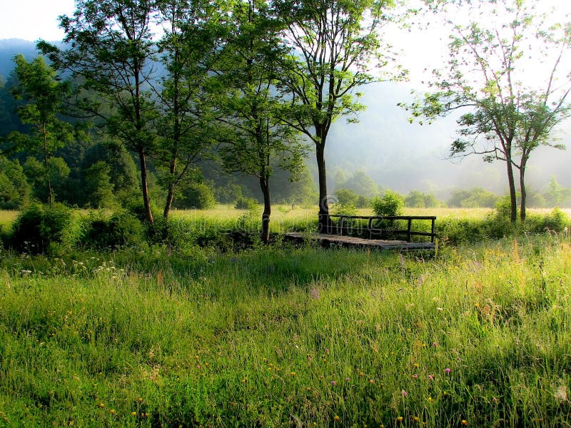 Bridge over the brook stock photo. Image of grass, purity - 13148680