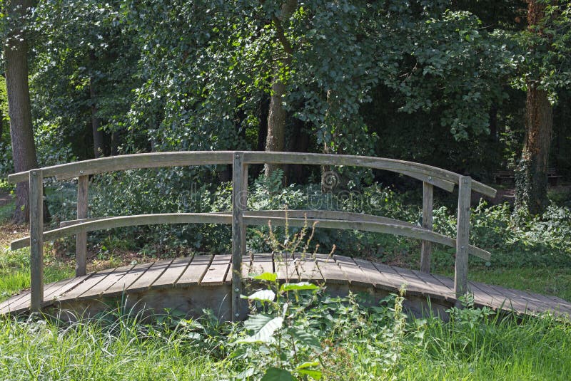 Bridge Over a Brook in a Forest Stock Image - Image of forest, rail ...