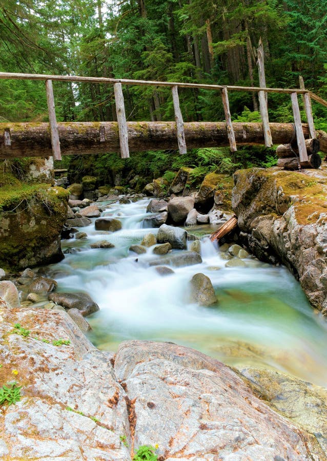 Bridge over forest stream stock image. Image of hill - 78855125