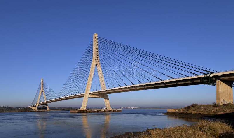 Cooper River Bridge stock image. Image of vertical, cable - 2051557