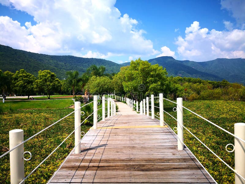 Bridge over the lake stock photo. Image of lake, view - 124653936