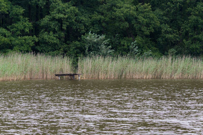Bridge Over the Lake in a Cane Stock Photo - Image of grass, nature ...