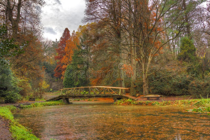 Bridge over lake in forest stock photo. Image of nature - 105109376
