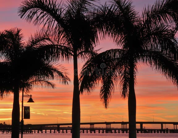 Bridge Over the Manatee River at Sunset Stock Image - Image of trees ...