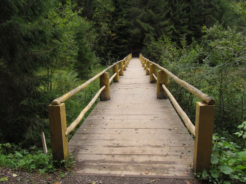 Bridge Over the Mountain River in the Carpathian Forest Stock Image ...