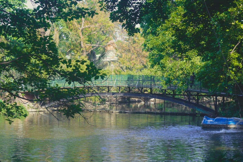 A Bridge Over Pond in a Public Garden. Landscape View during Sunset ...