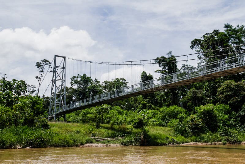 Bridge Over the River in the Amazon, Metal Structure, Large Bridges ...
