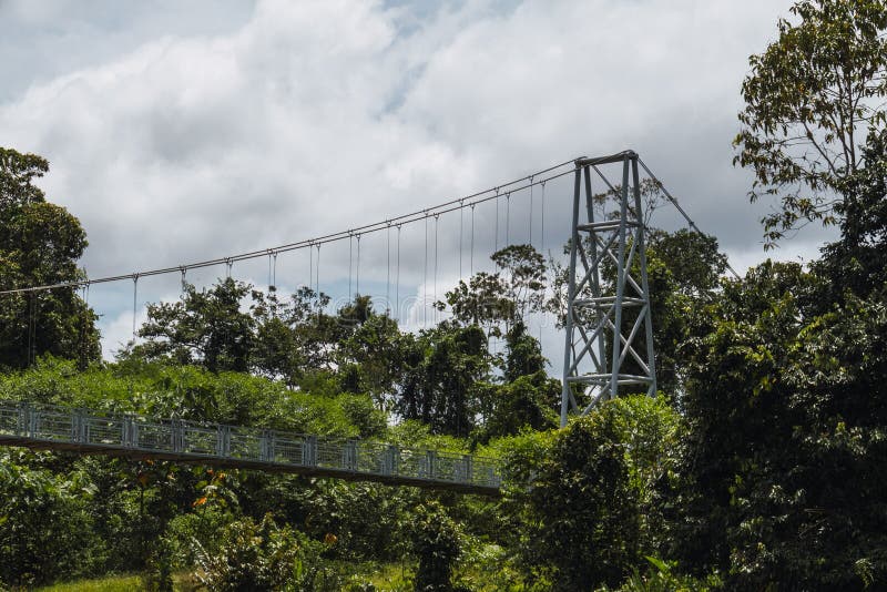 Bridge Over the River in the Amazon, Metal Structure, Large Bridges ...