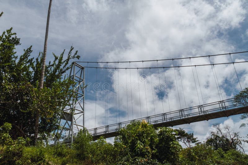Bridge Over the River in the Amazon, Metal Structure, Large Bridges ...