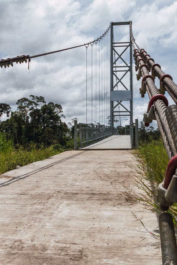 Bridge Over the River in the Amazon, Metal Structure, Large Bridges ...