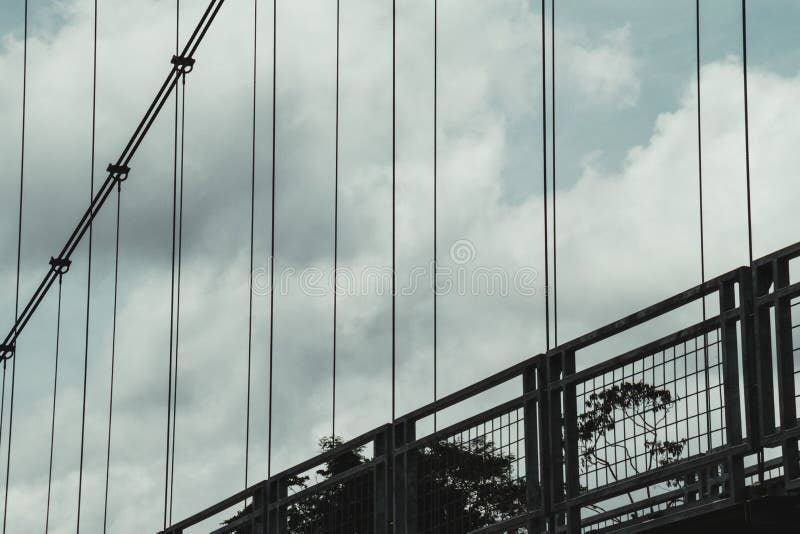 Bridge Over the River in the Amazon, Metal Structure, Large Bridges ...