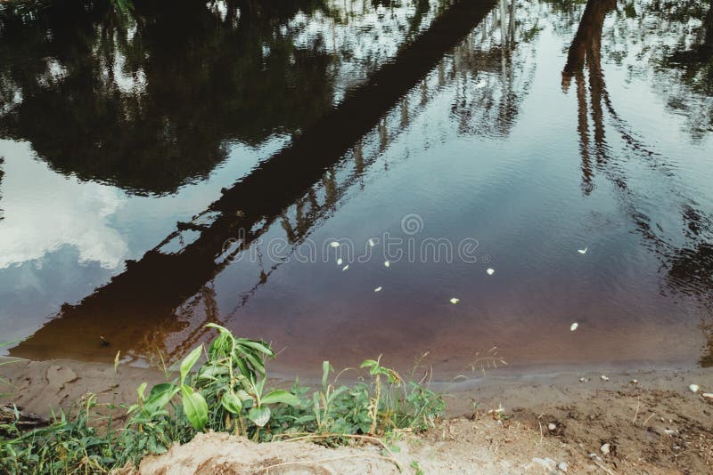 Bridge Over the River in the Amazon, Metal Structure, Large Bridges ...